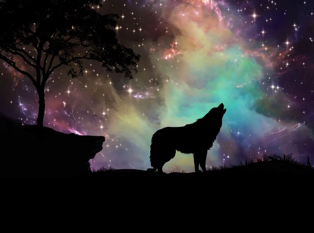 Simbolismo y significado espiritual del Lobo