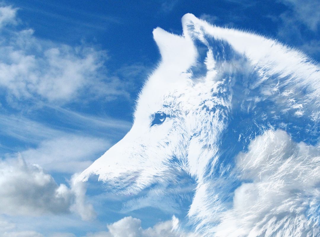 Simbolismo y significado espiritual del Lobo