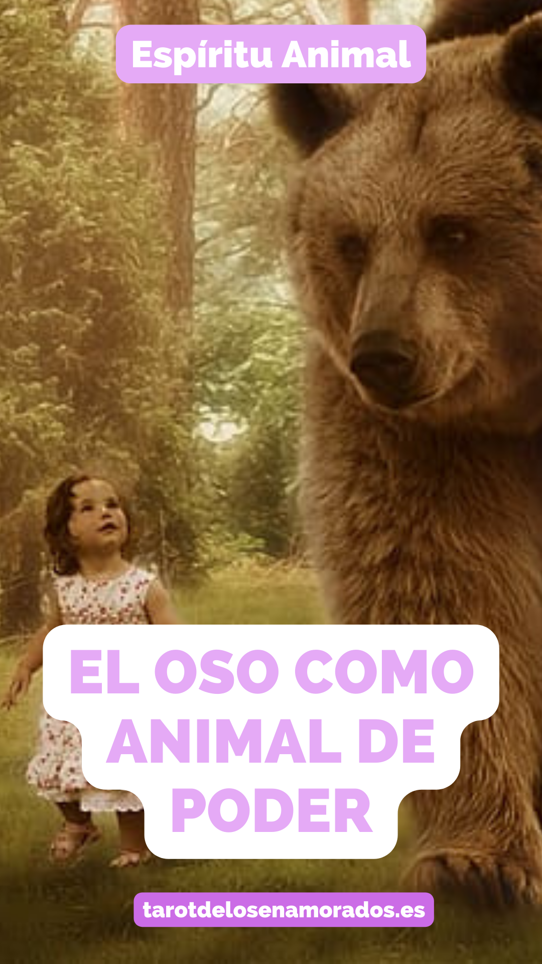 El oso como animal de poder