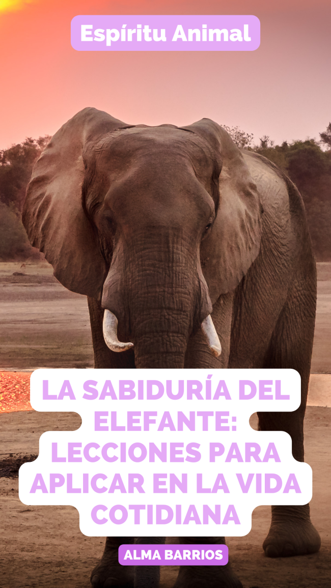 El elefante como animal de poder
