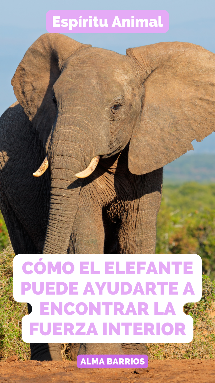 El elefante como animal de poder