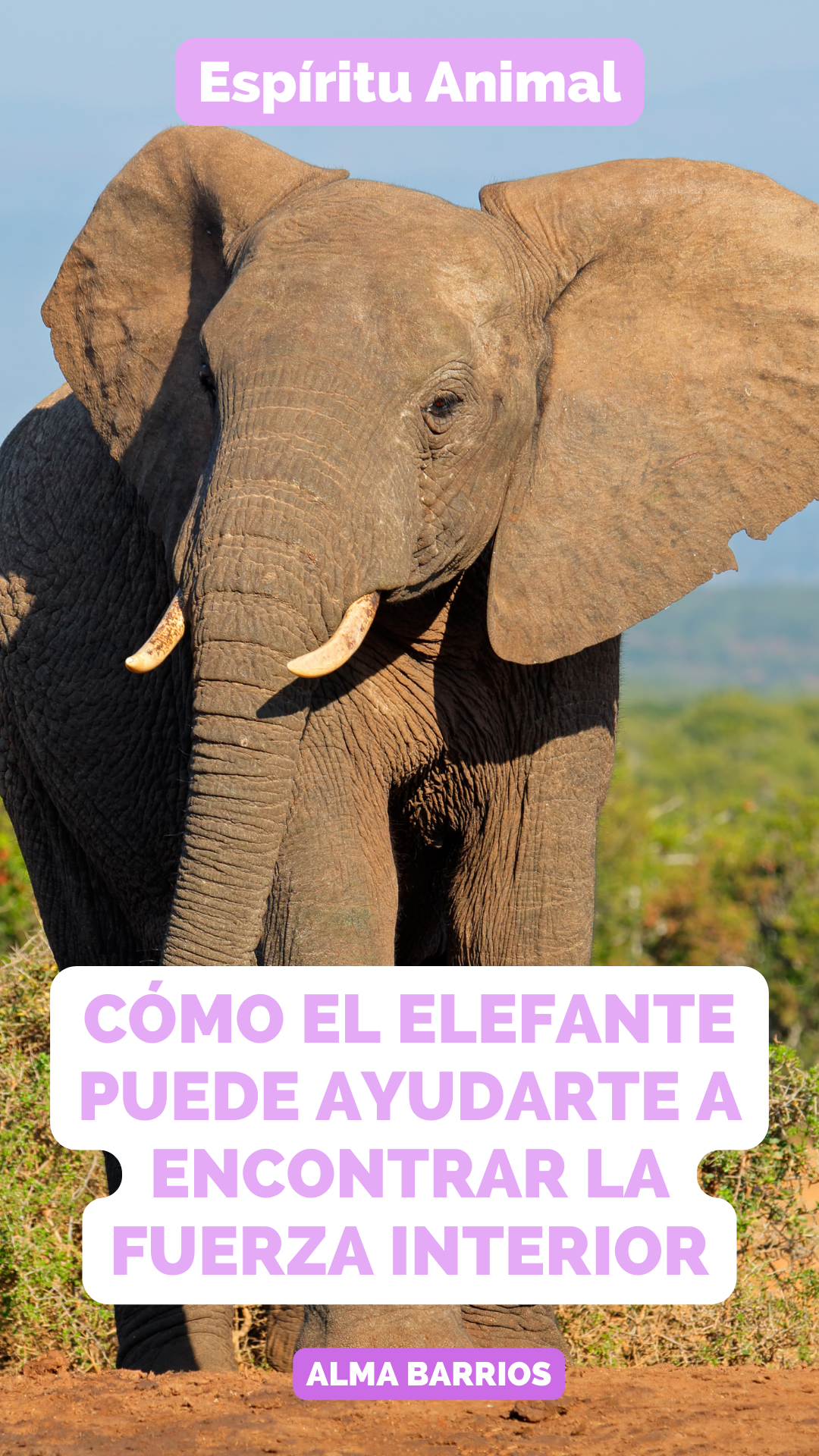El elefante como animal de poder