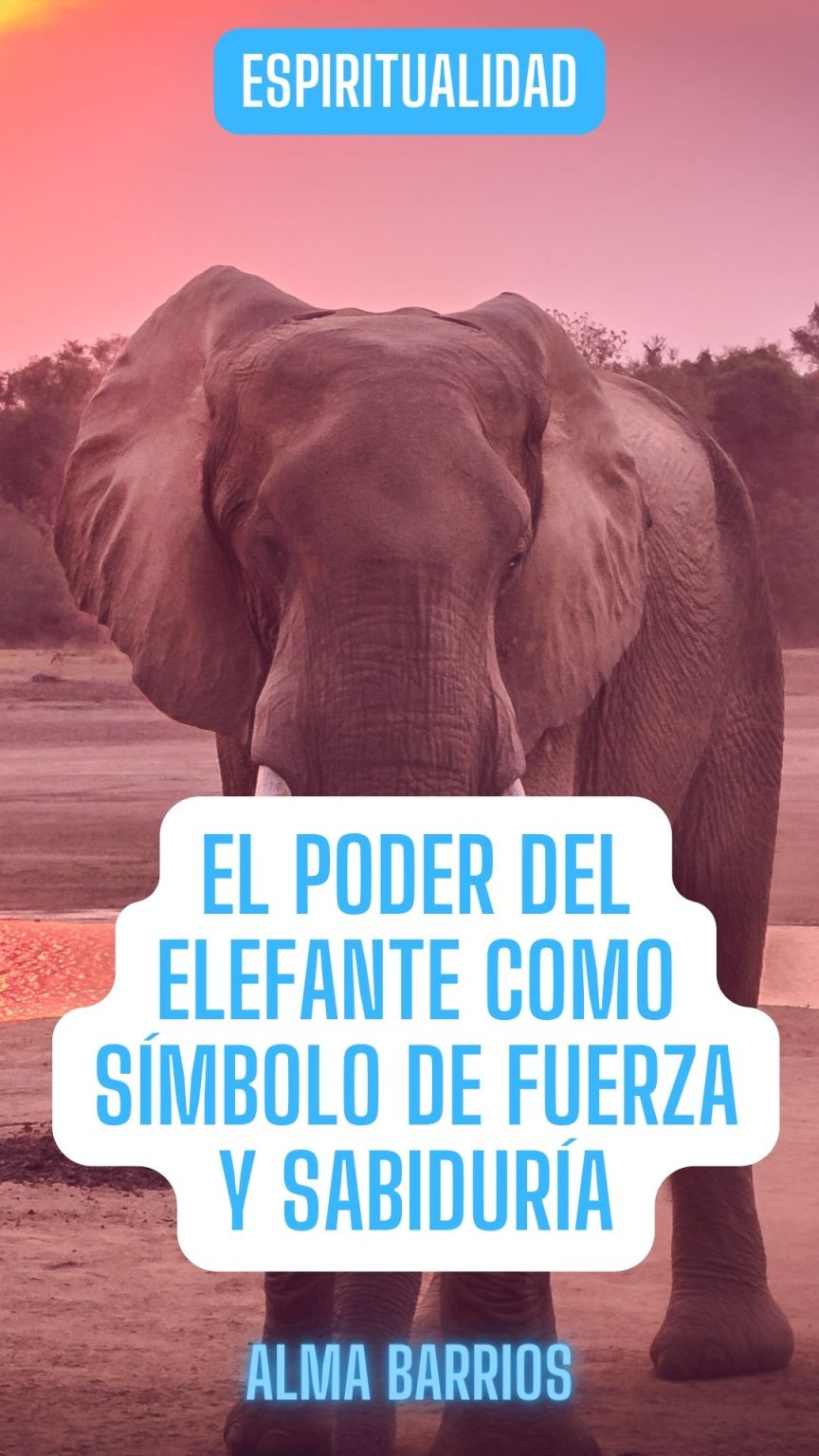 El simbolismo detrás de los animales: una guía para entender su ...
