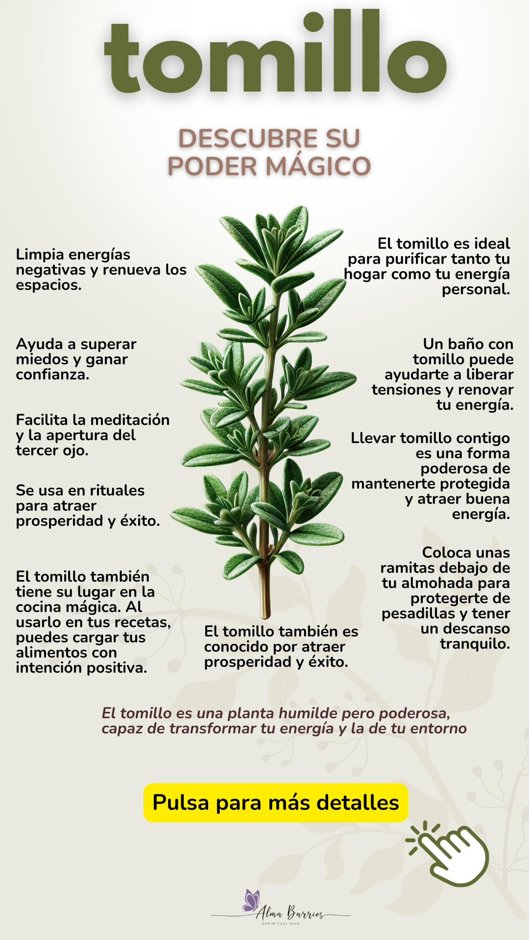 Propiedades Mágicas del Tomillo: Energía, Protección y Purificación
