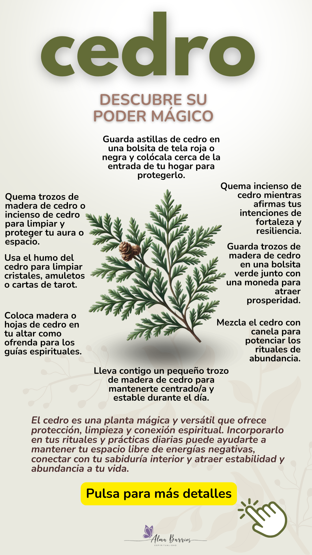 Propiedades y Usos Mágicos del Cedro: Protección, Purificación y ...