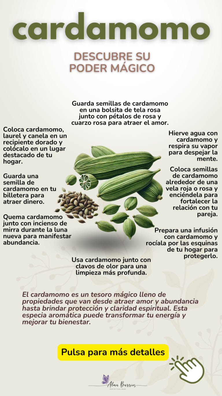 Cardamomo: Propiedades y Usos Mágicos