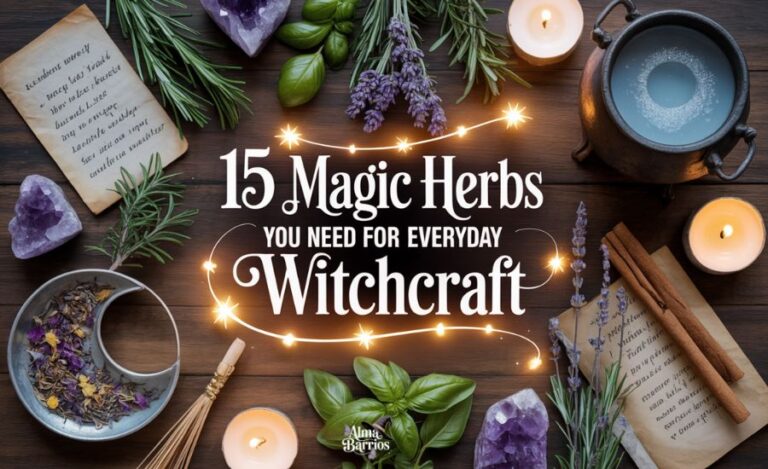 15 Magic Herbs You Need for Everyday Witchcraft